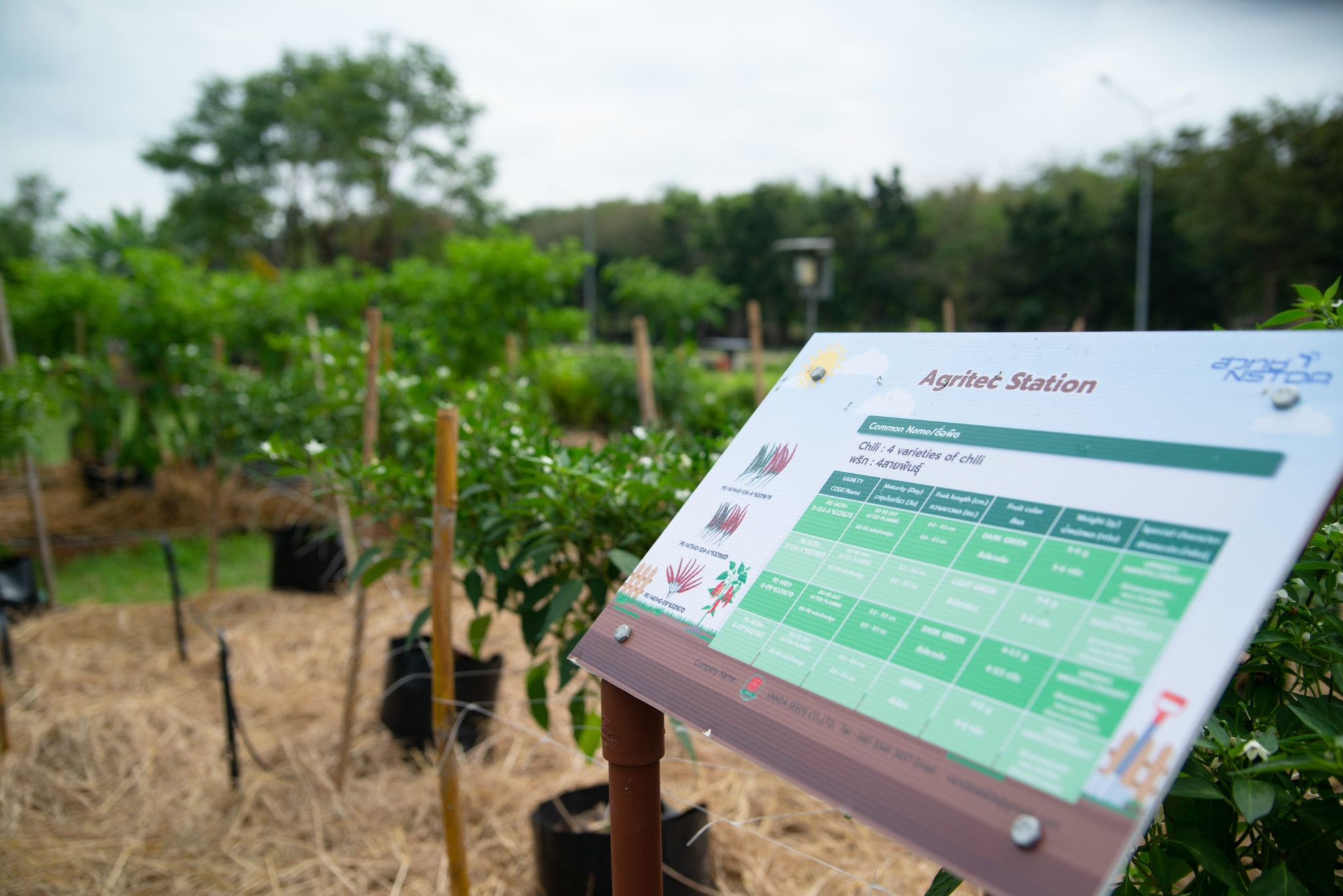 สท. เปิด AGRITEC Station ต้อนรับคณะผู้เข้าร่วมประชุม Asian Seed Congress 2022 – สถาบันการจัดการ ...