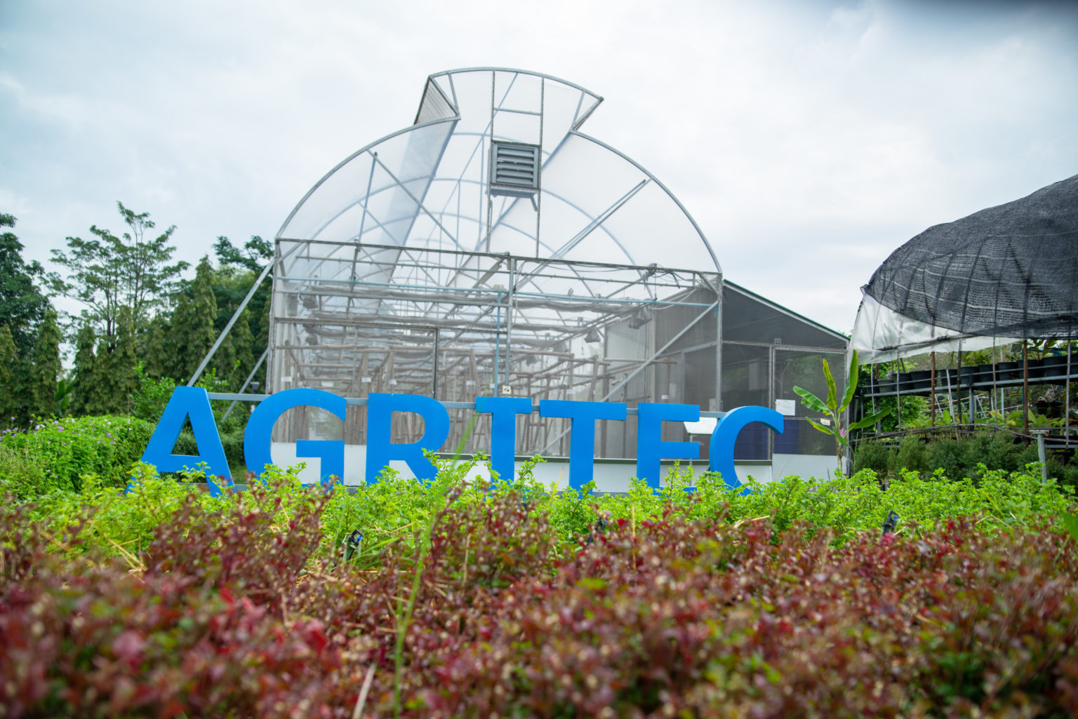 สท. เปิด AGRITEC Station ต้อนรับคณะผู้เข้าร่วมประชุม Asian Seed Congress 2022 – จดหมายเหตุ สวทช.