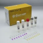 สวทช. เผย อย. ไฟเขียว โคซี่-แอมป์ 'COXY-AMP' ชุดตรวจโควิด-19 ด้วยเทคนิค ...