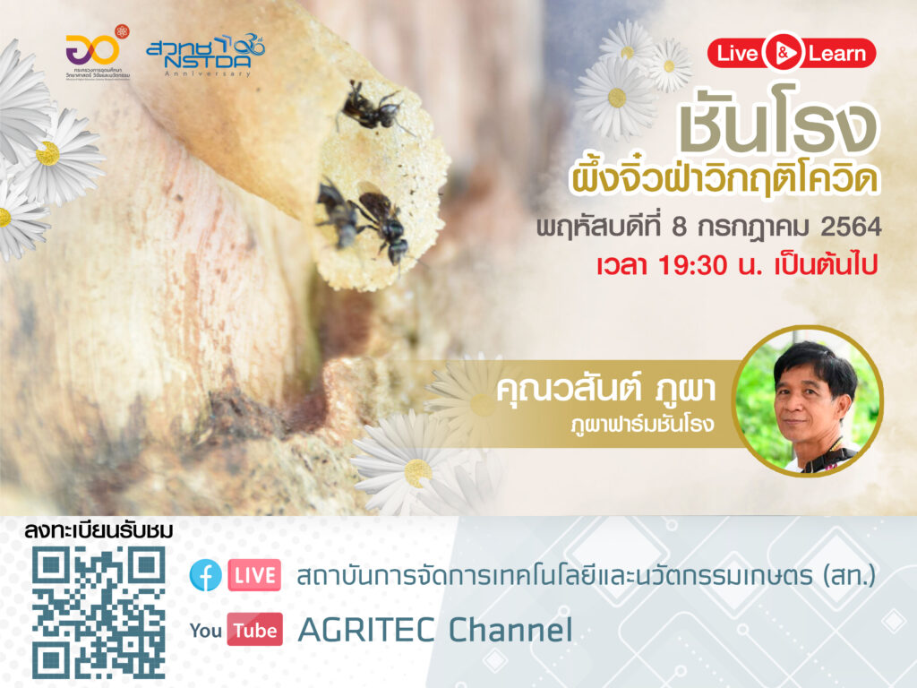 (Facebook Live) ชันโรง...ผึ้งจิ๋ว ฝ่าวิกฤกติโควิด - NSTDA