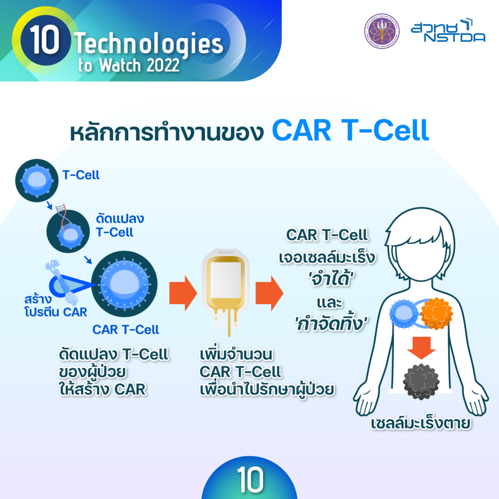 10 Technologies to Watch: การรักษามะเร็งด้วยภูมิคุ้มกันแบบ CAR T–Cell (Chimeric Antigen Receptor ...