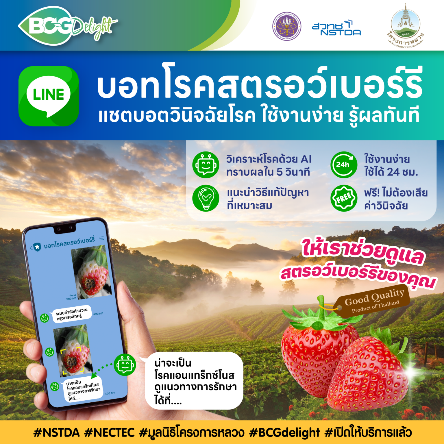 ‘บอทโรคสตรอว์เบอร์รี’ แชตบอตวินิจฉัยโรค ใช้งานง่าย รู้ผลทันที - NSTDA