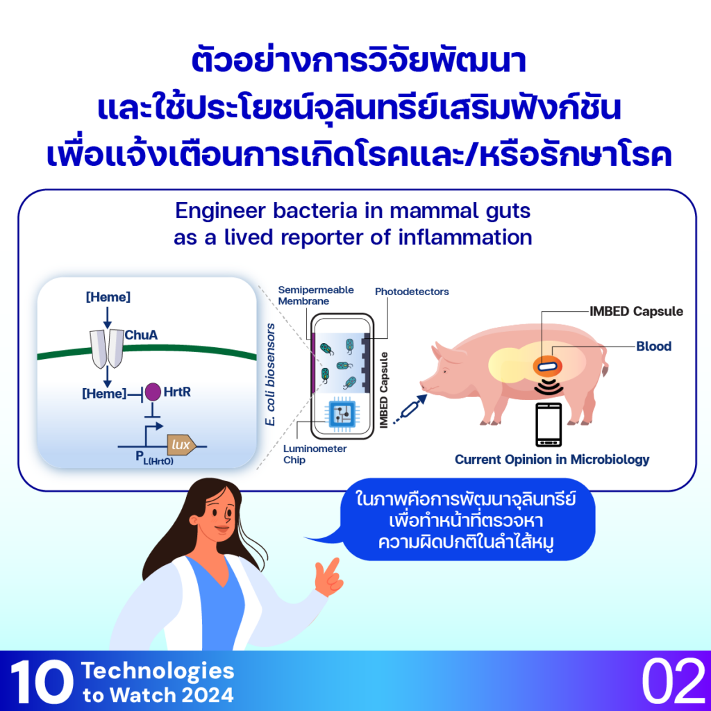 10 Technologies to Watch 2024: จุลชีพในลำไส้เพื่อดูแลสุขภาพ (Human Gut ...
