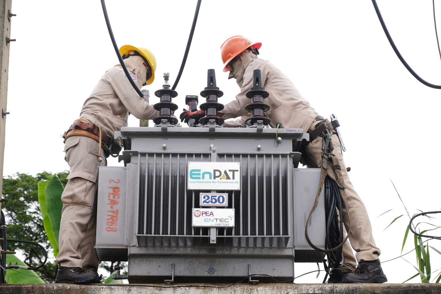 ENTEC สวทช.-กฟภ. ขยายการใช้งาน “EnPAT” น้ำมันหม้อแปลงไฟฟ้า