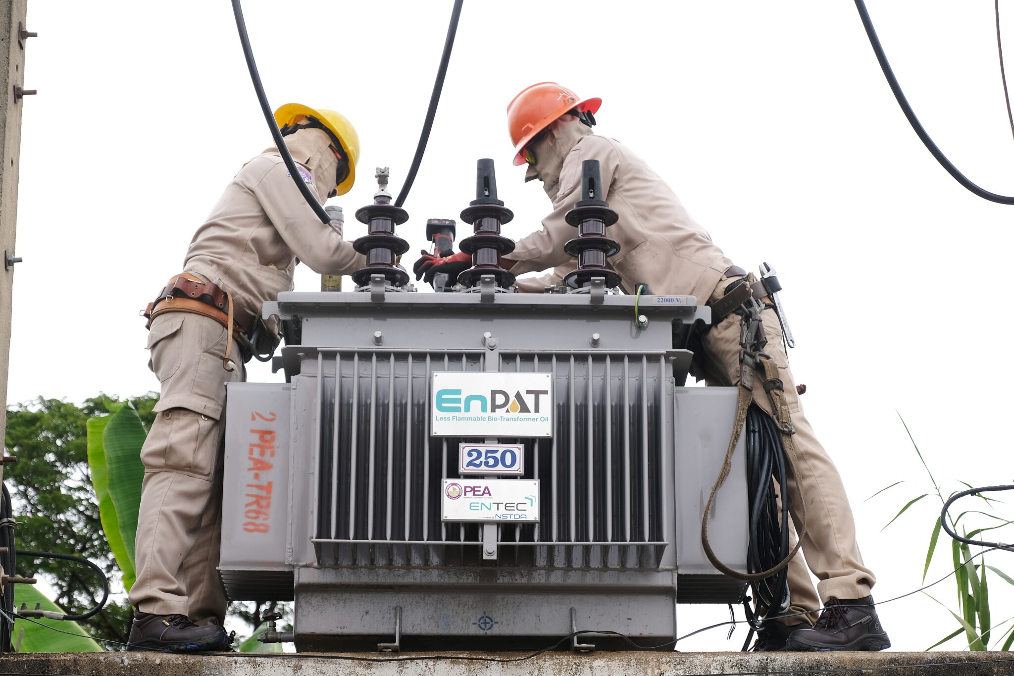 ENTEC สวทช.-กฟภ. ขยายการใช้งาน “EnPAT” น้ำมันหม้อแปลงไฟฟ้า