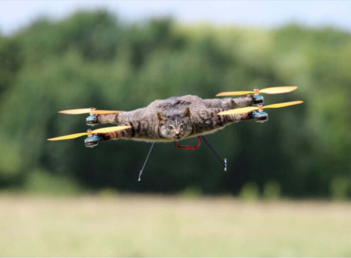 สภากาแฟ Archives - นิตยสารสาระวิทย์ โดย สวทช.