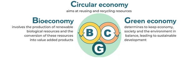 Bcg Concept Thailand The Hub Of Bioeconomy In Asean