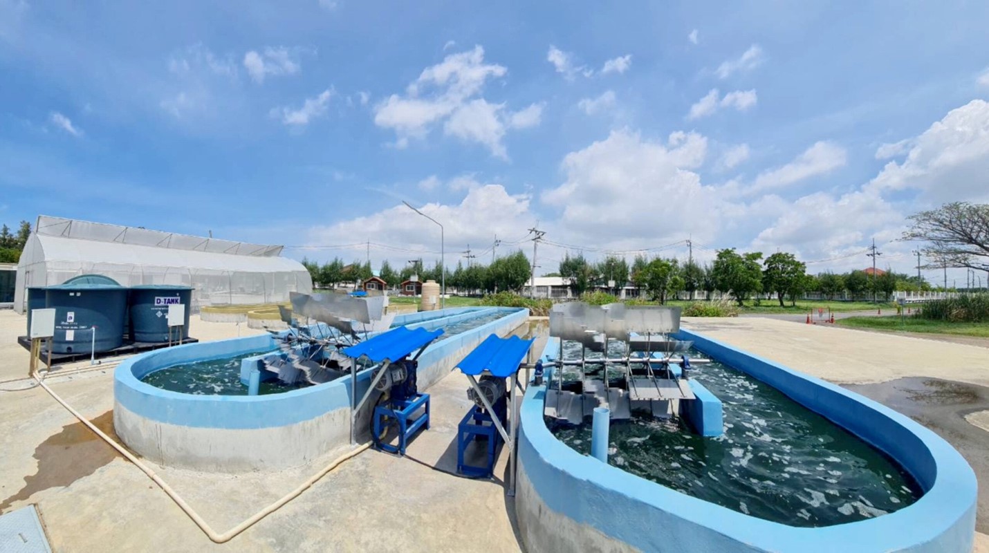 BIOTEC-NSTDA and its mission in algal biotechnology development to ...