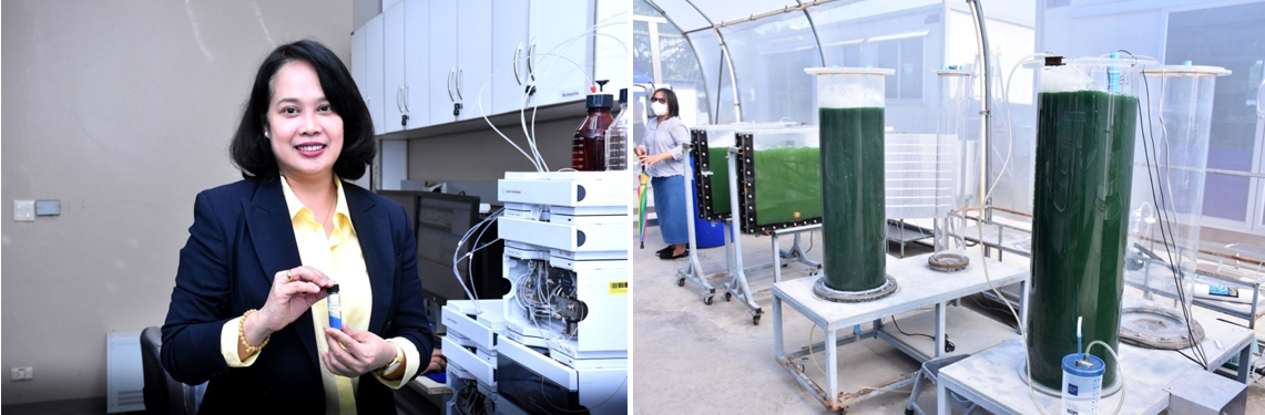 BIOTEC-NSTDA and its mission in algal biotechnology development to boost Thai aquaculture ...